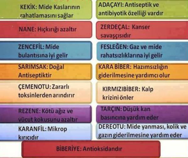 HAYATINIZA EKLEMENİZ GEREKEN 7 BAHARAT VE FAYDALARI…! | ZAMAZİNGO