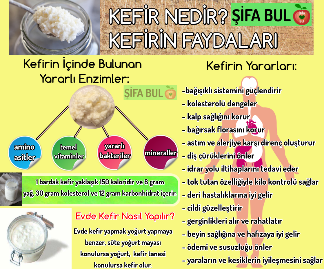 Kefir Nedir? Kefirin Faydaları? | ZAMAZİNGO
