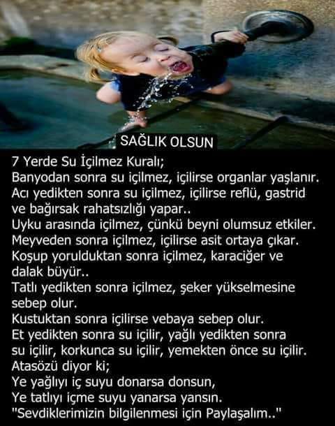 Bitki Alemi | ZAMAZİNGO | Sayfa 2