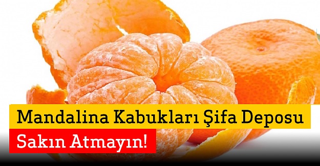 Bitki Alemi | ZAMAZİNGO