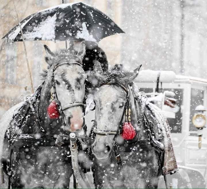 Dünya Hassas Kalpler İçin Bir Cehennemdir..! | ZAMAZİNGO